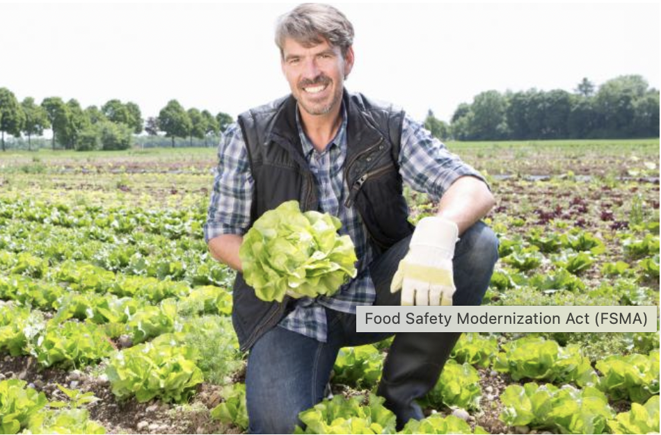 FDA’s Food Safety Modernization Act (FSMA), Explained – RxTrace